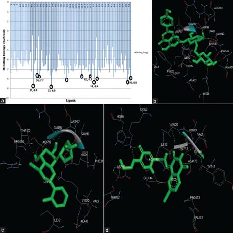 A The Output Of Autodock Vina The Lines Encircled In Black Show The Download Scientific