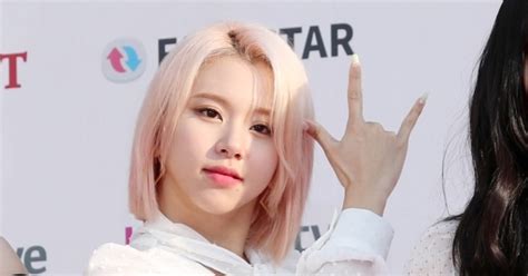 트와이스 채영 침화사와 열애설jyp 침묵에 궁금증 증폭 종합 스타뉴스
