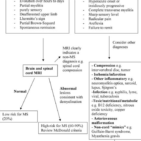 Pdf Differential Diagnosis Of Suspected Multiple Sclerosis A