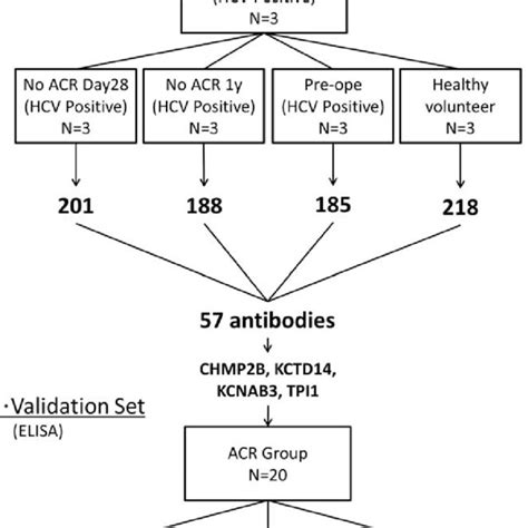 The Diagram Of Experiments Download Scientific Diagram