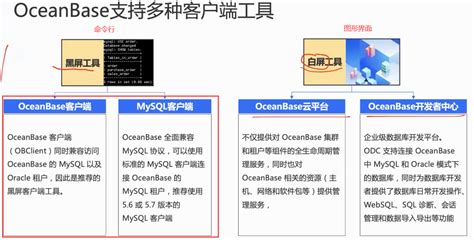 oceanbase数据库 ob数据库 csdn博客