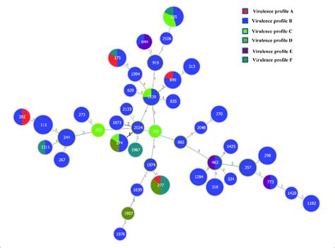 minimum spanning tree based on multilocus sequence typing data for