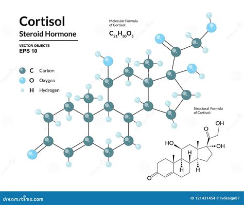 Cortisol Steroid Hormone Stock Vector Illustration Of Chemistry 121431454