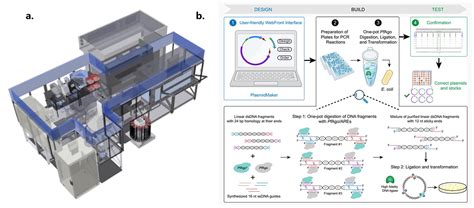 Biofoundry And Its Industrial Application