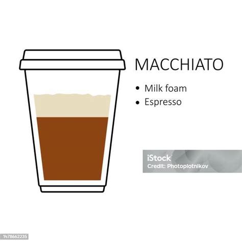 흰색 배경에 격리된 일회용 플라스틱 컵 테이크아웃에 담긴 마끼아또 커피 레시피 우유 거품과 에스프레소 층이 있는 준비 가이드 커피 숍 벡터 일러스트 레이 션 요리법에 대한
