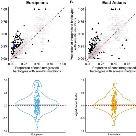 Across Genes Somatic Mutations Are Enriched On Neanderthal Introgressed Download Scientific