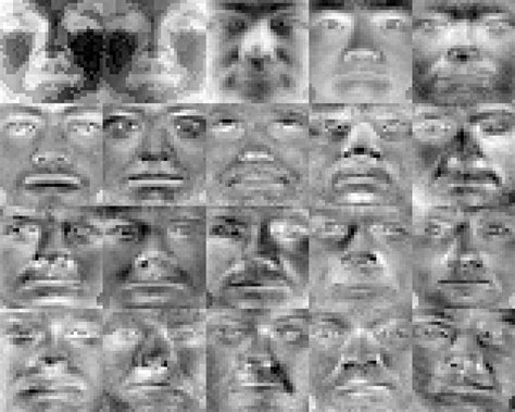the first 20 significant eigenfaces of the selected face images download scientific diagram