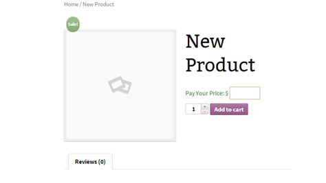 7 Best Woocommerce Name Your Price Plugins Learnwoo