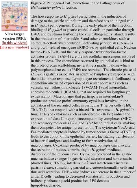 Peptic Ulcer Perforation Semantic Scholar