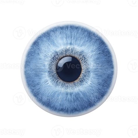 Detailed Close Up Of Blue Human Eye Iris With Intricate Patterns And