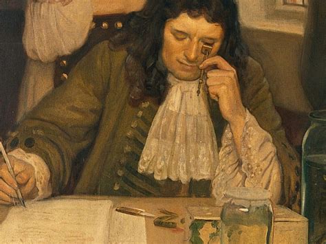 Plantas Marinas Descubre Especies Fascinantes Y Sus Nombres