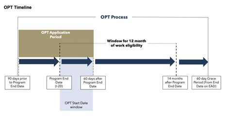How To Avoid OPT Reject OPT Step By Step Application Instruction