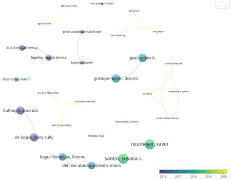 Co Authorship Per Authors With Overlay Visualisation Source Vosviewer