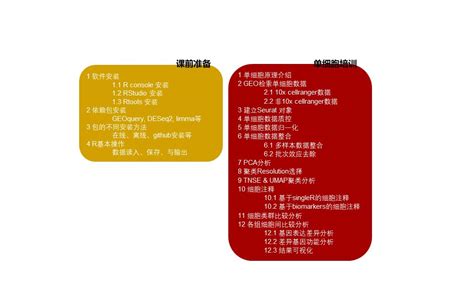 【单细胞数据分析 医学统计园】 哔哩哔哩 Bilibili