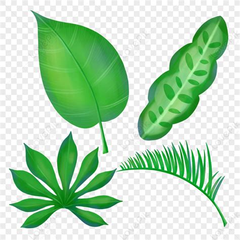 뜨거운 여름 일러스트 열 대 잎이파리반얀 잎 Png 일러스트 무료 다운로드 Lovepik