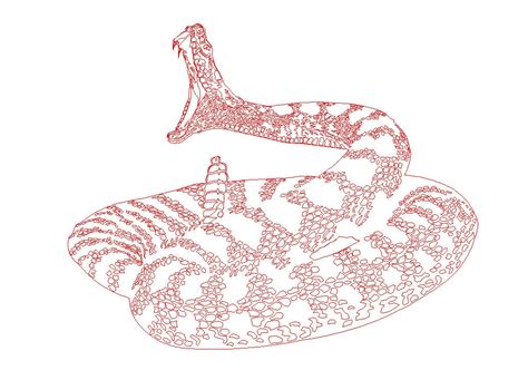 Rattlesnake Vector File Etsy