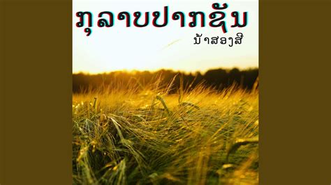 ກຸລາບປາກຊັນ Youtube