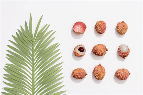 파스텔 베이지 색 배경에 신선한 열매 과일과 종이 야자수 잎 패턴 최소한의 과일과 여름 개념 0명에 대한 스톡 사진 및 기타 이미지 Istock