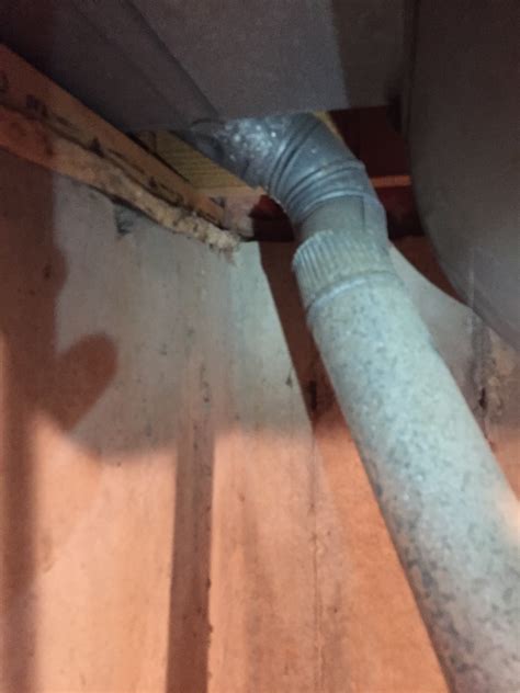 Water Heater Flue Pipe Replacement At Sandy Vincent Blog