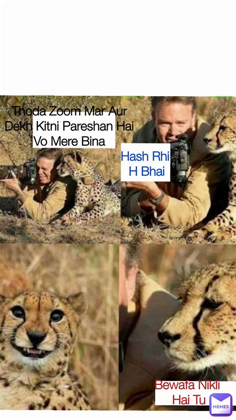 Funny Cheetah Memes