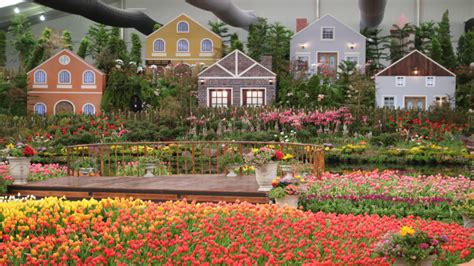 หนาว สวย ชิล กับงาน ‘ทิวลิปบานที่ระยอง