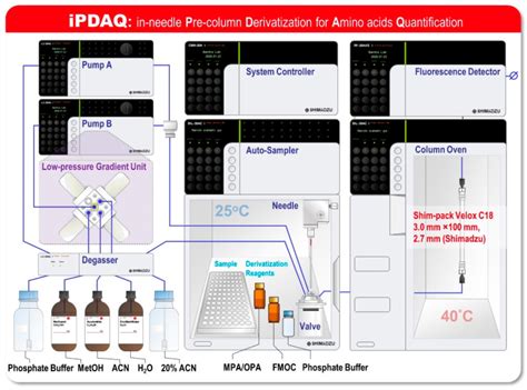 In Needle Pre Column Derivatization For Amino Acid Quantification Ipdaq Using Hplc Pmc