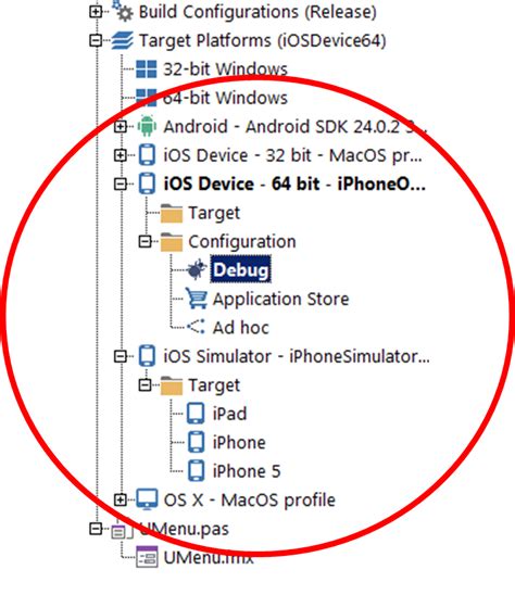 Configuring Delphi Xe 8 To Publish App On Iphone Ios Stack Overflow