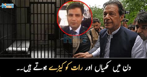 National News By Hamariweb دن میں مکھیاں اور رات کو کیڑے ہوتے ہیں