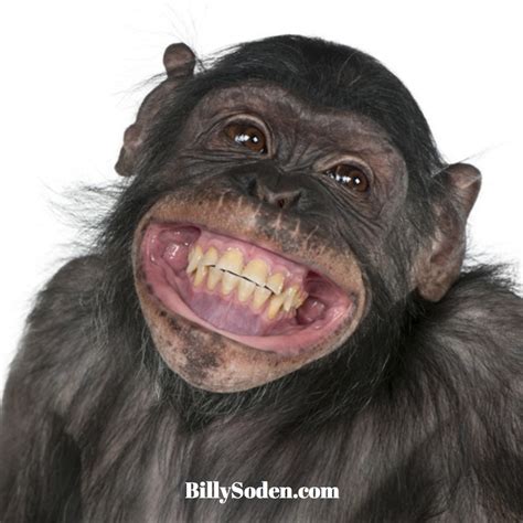 In Case You Forgot Heres What A Big Smile Looks Like Smile