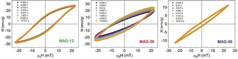 Evolution Of The AC Loops As A Function Of The Measurement Time For An Download Scientific