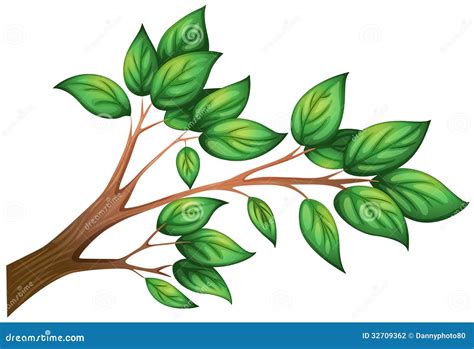 Une Branche D Un Arbre Avec Des Feuilles Illustration De Vecteur