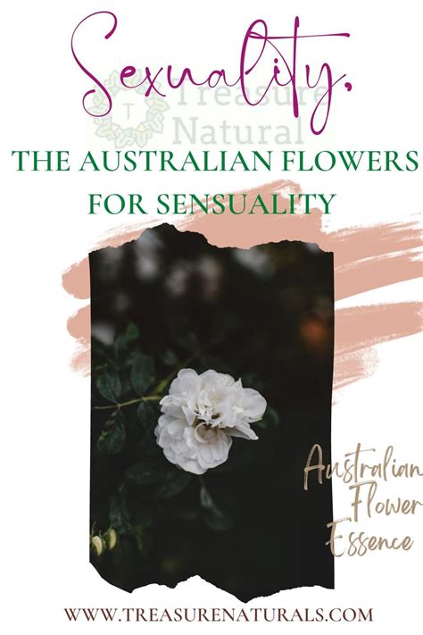 Sexuality The Australian Flowers For Sensuality Treasurenatural