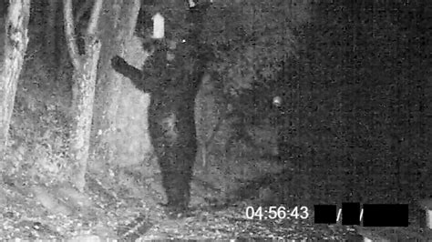 Scp 932 Scp Database Wiki Fandom