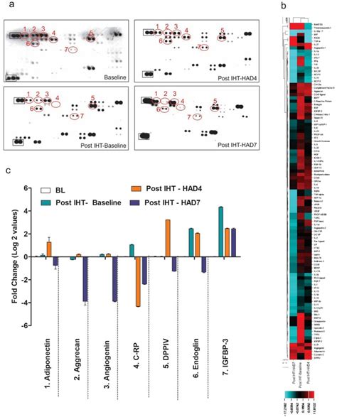 Cytokine Array For Assessment Of Inflammatory Signaling A Download Scientific Diagram