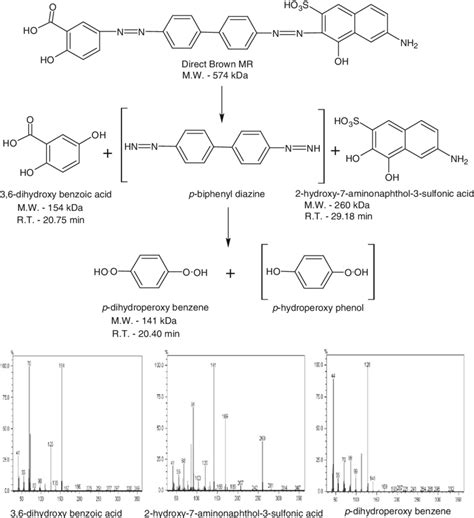 Proposed Pathway For Biodegradation Of Direct Brown Mr By Pseudomonas Download Scientific