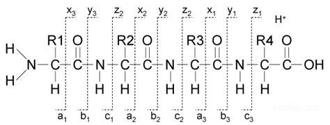 Lab Series 14 Ms Based Proteomics
