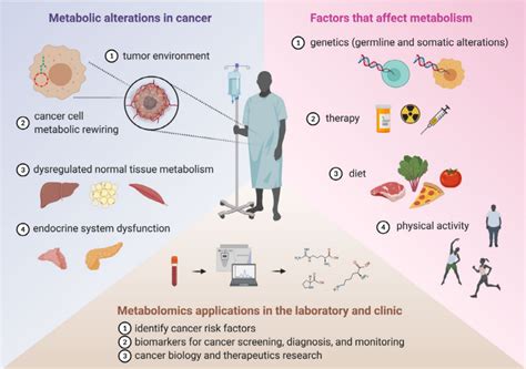 前沿综述 肿瘤与衰老的共同表现：代谢障碍，代谢重编程（代谢修复）是慢病防治关键 瑞士领誉医疗官方网站：您的欧洲私人医生！