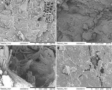Sem Micrographs For Pla Composite Samples Left Pictures Correspond To