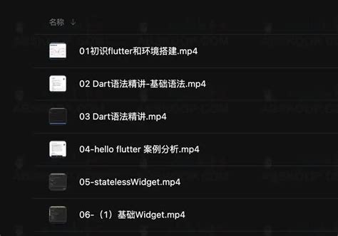 flutter高级项目实战视频课程 a姐分享