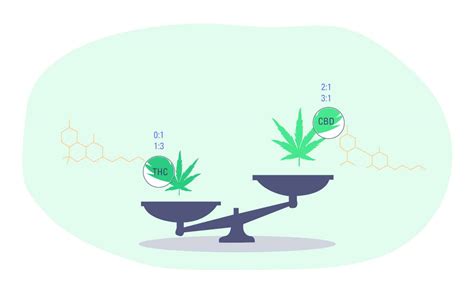 The Best High CBD Strains For Your Medical Use