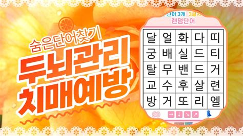 5문제이상 두뇌나이 이팔청춘~ 숨은단어찾기 치매예방 퀴즈 초성퀴즈 단어퀴즈 두뇌운동 뇌건강 치매테스트 기억력 집중력 강화 재밌는 퀴즈 Youtube