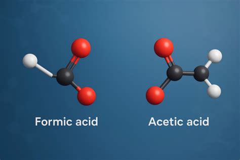 Formic Acid Vs Acetic Acid A Comprehensive Comparison From A Chemical