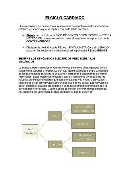 Ciclo Cardiaco Valientem Udocz