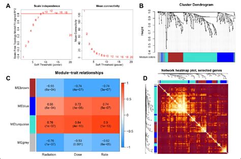 Weighted Gene Correlation Analysis A Dynamic Branch Cutting B Download Scientific Diagram
