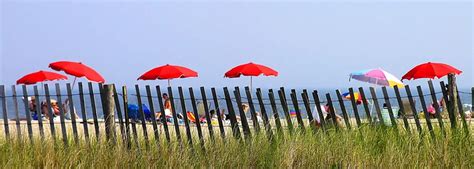 Daniel G Loggi Jr Dmd Cape May Court House New Jersey Cape