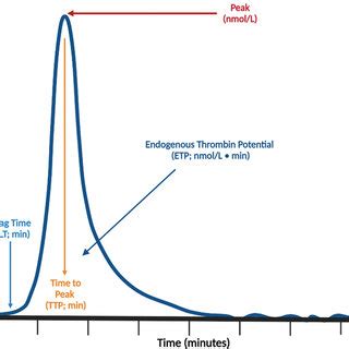 Approximated Representative TGA Patterns The Black Curves Represent Download Scientific