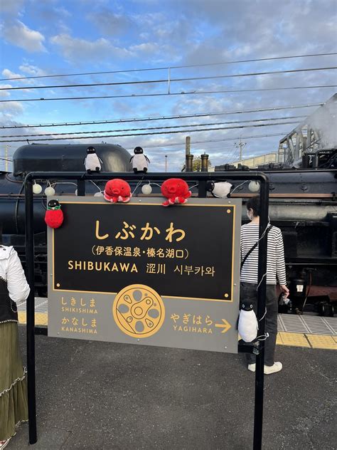 かがやくごったん On Twitter 昨日の渋川駅駅名標、遠目からは「記念装飾かな？」と思ったが、近くで見たらお人形遊びだったな〜
