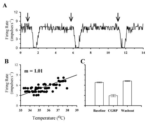 The Effects Of Cgrp On The Firing Rate Of A Warm Sensitive Neuron A