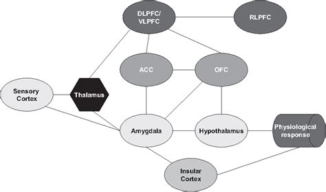 Figure 2 From The Iterative Reprocessing Model A Multilevel Framework