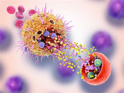 多发性骨髓瘤诊断标准 骨髓瘤常识 骨髓瘤 肿瘤疾病大全 癌症肿瘤科普知识 有来医生